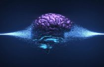 ANSI vs Unicode: What's the Difference and Why Does It Matter ...