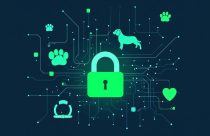 SD WAN Security: Your Guide to Understanding SD WAN Security Essentials ...